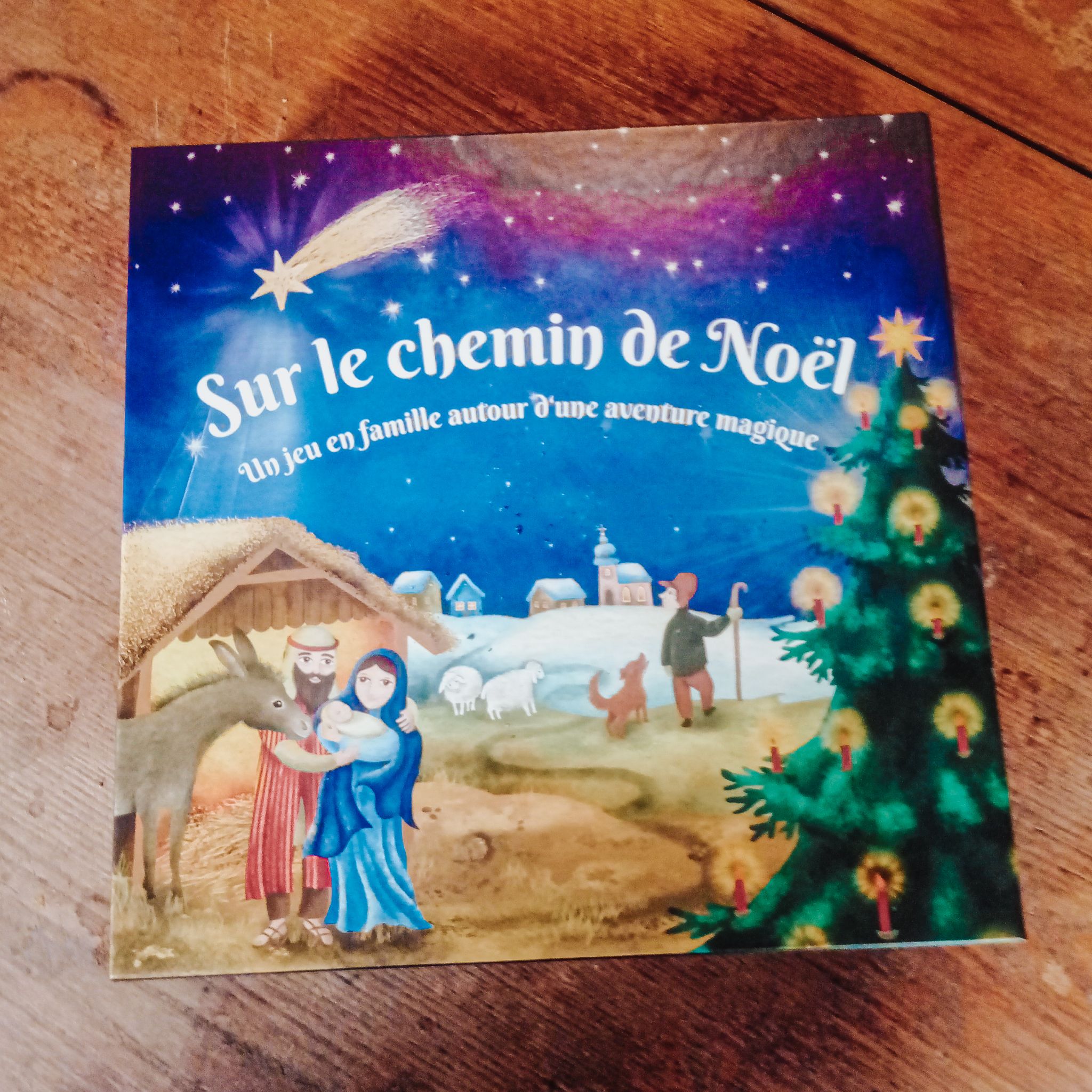 Zoom sur le jeu de société Sur le chemin de Noël de Familium.